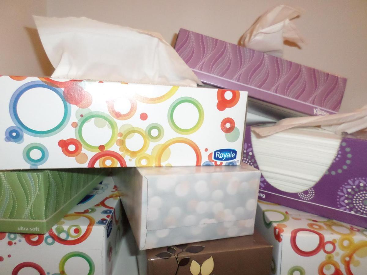 The Mystery of the Exploding Tissues – ANDRE BEGIN